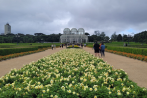 What to do in Curitiba: Top Attractions, Restaurants + Itineraries ...